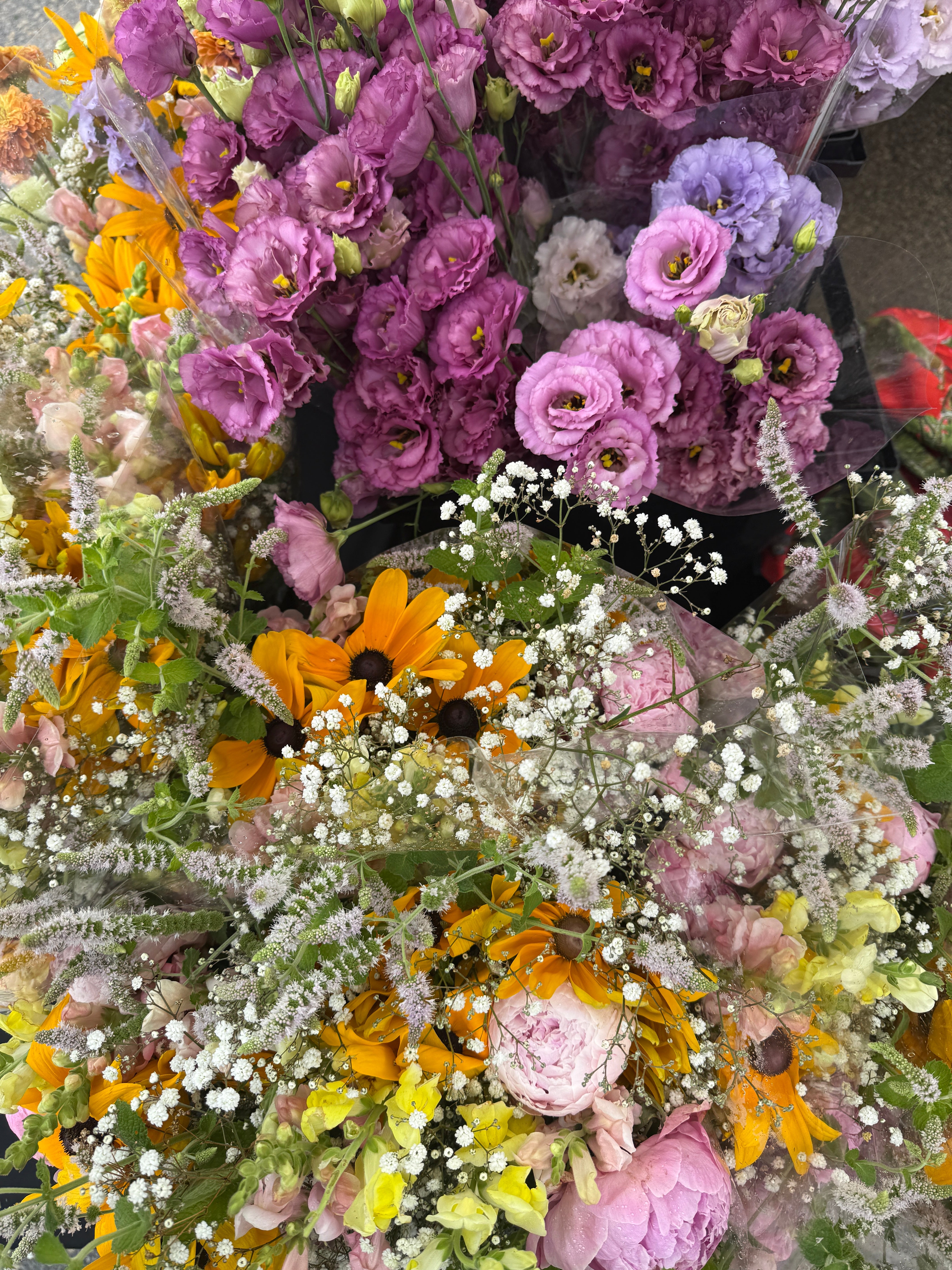 Bulk Flower Buckets – Clara Joyce Flowers